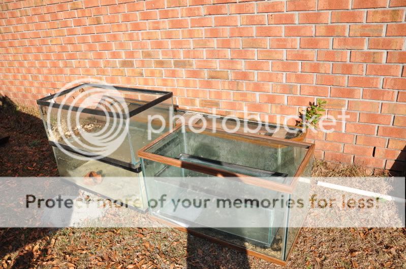 Garage fish room build....on a budget. | AquariaCentral.com