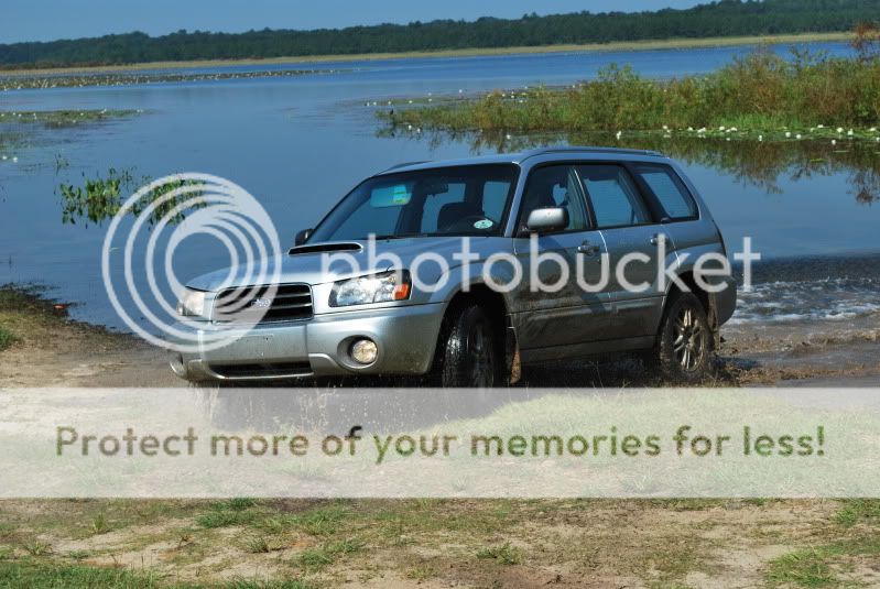 played in some water... | Subaru Forester Owners Forum