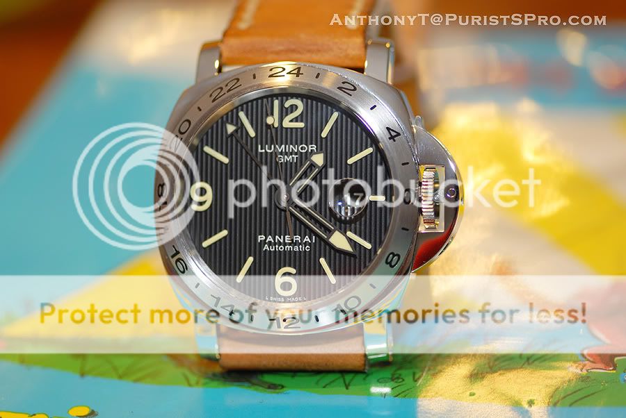 Officine Panerai - Just got my Panerai PAM29 GMT w/ Tuxedo dial yesterday!