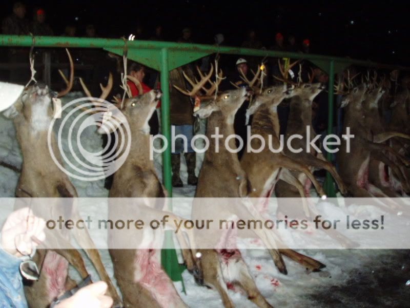 deer camp photos | Page 2 | The HuntingPA.com Outdoor Community