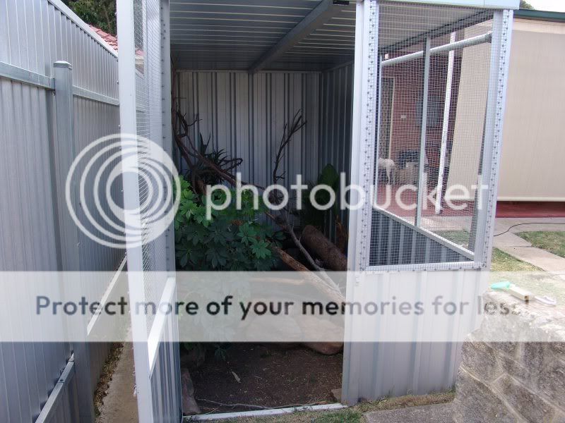 Show Us Your Outdoor Enclosure Pics | Aussie Pythons & Snakes Forum