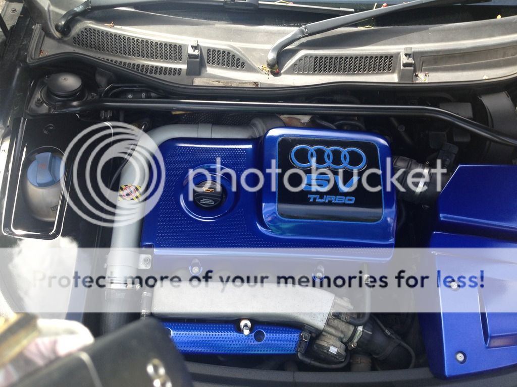 Engine bay painted. Love the colour | Audi TT Forum