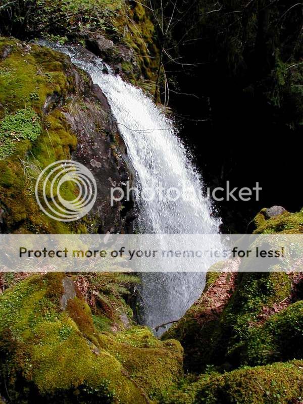 Portland Hikers • PortlandHikers.org