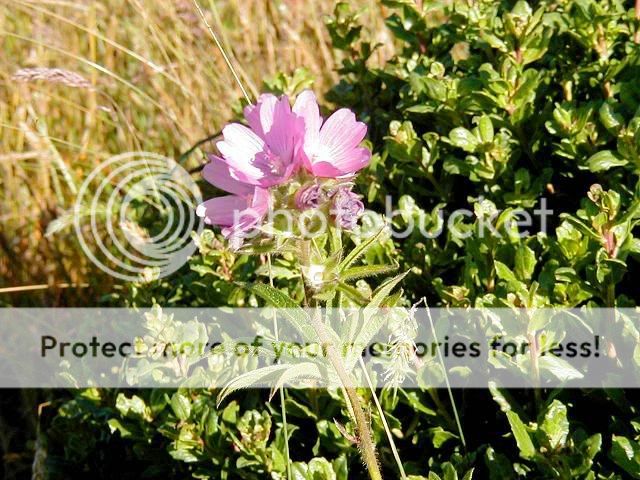 Portland Hikers • PortlandHikers.org